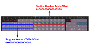 ELF Story Part3: ELF Section Headers - Binary Graveyard 🪦
